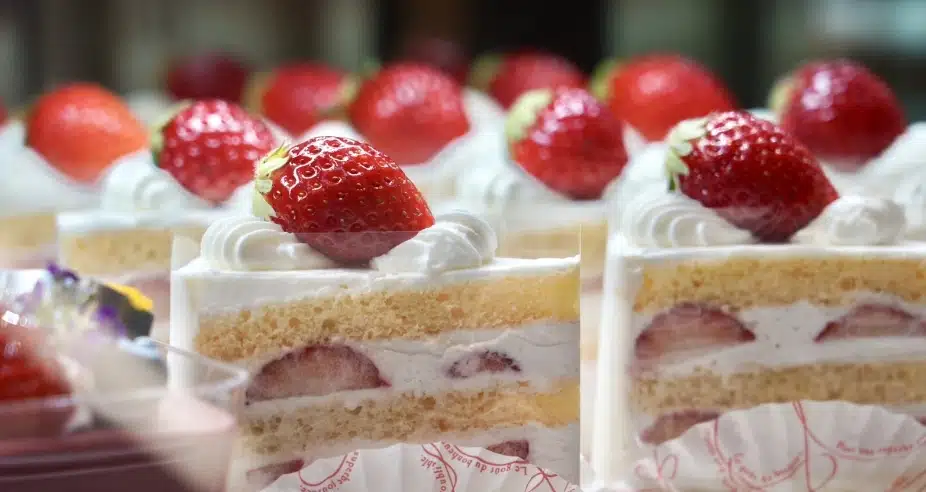 Nitcho Labo 西ノ内校 - 日本調理技術専門学校